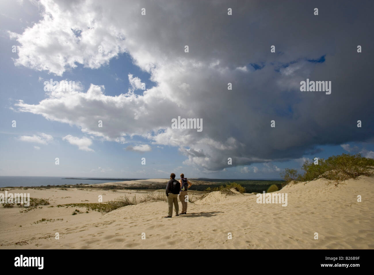 Big dune in Nida, (Nidden), Curian spit, Lithuania Stock Photo - Alamy
