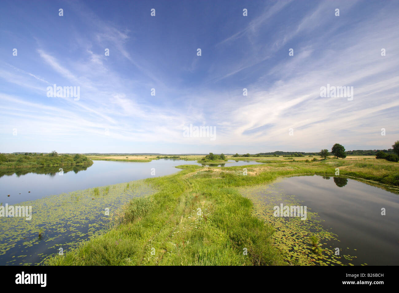 Bird sanctuary in the Nemunas delta, Lithuania Stock Photo - Alamy