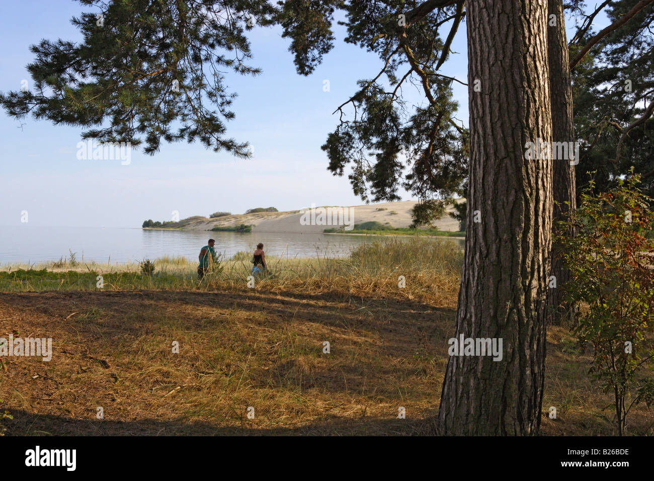 Big dune in Nida, (Nidden), Curian spit, Lithuania Stock Photo - Alamy