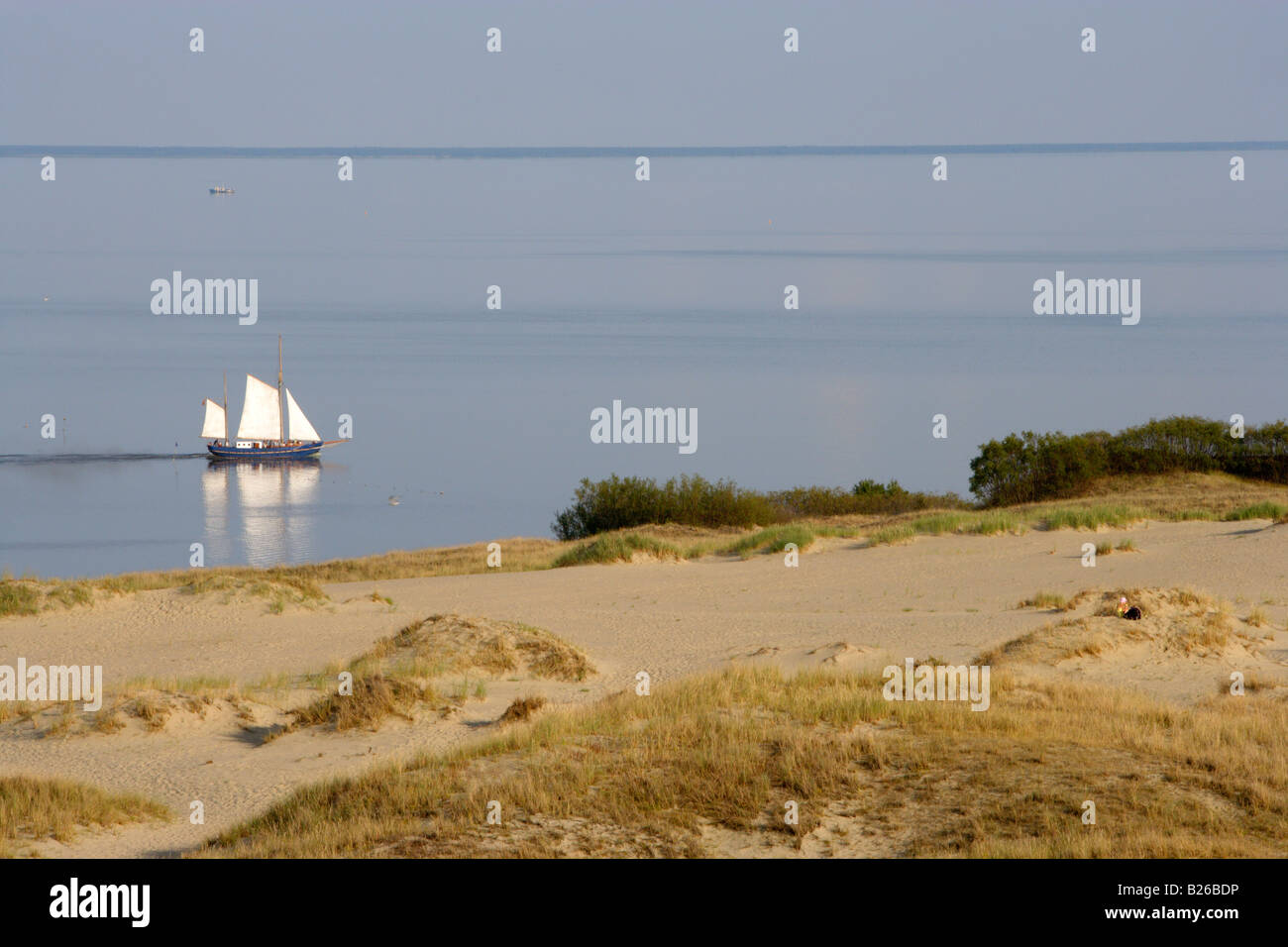 Big dune in Nida, (Nidden), Curian spit, Lithuania Stock Photo - Alamy
