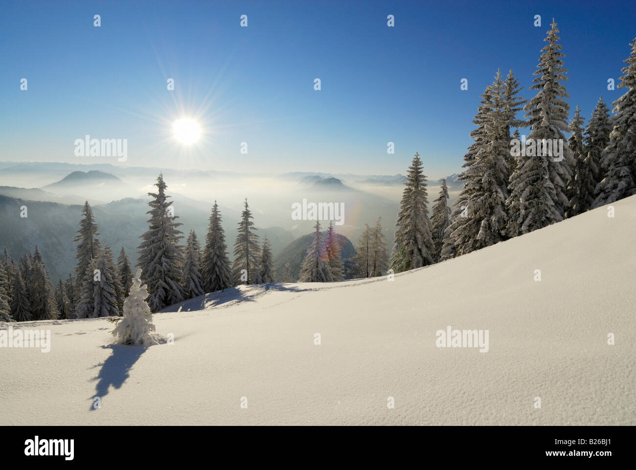 Daylight and backlight and scenic fog hi-res stock photography and ...