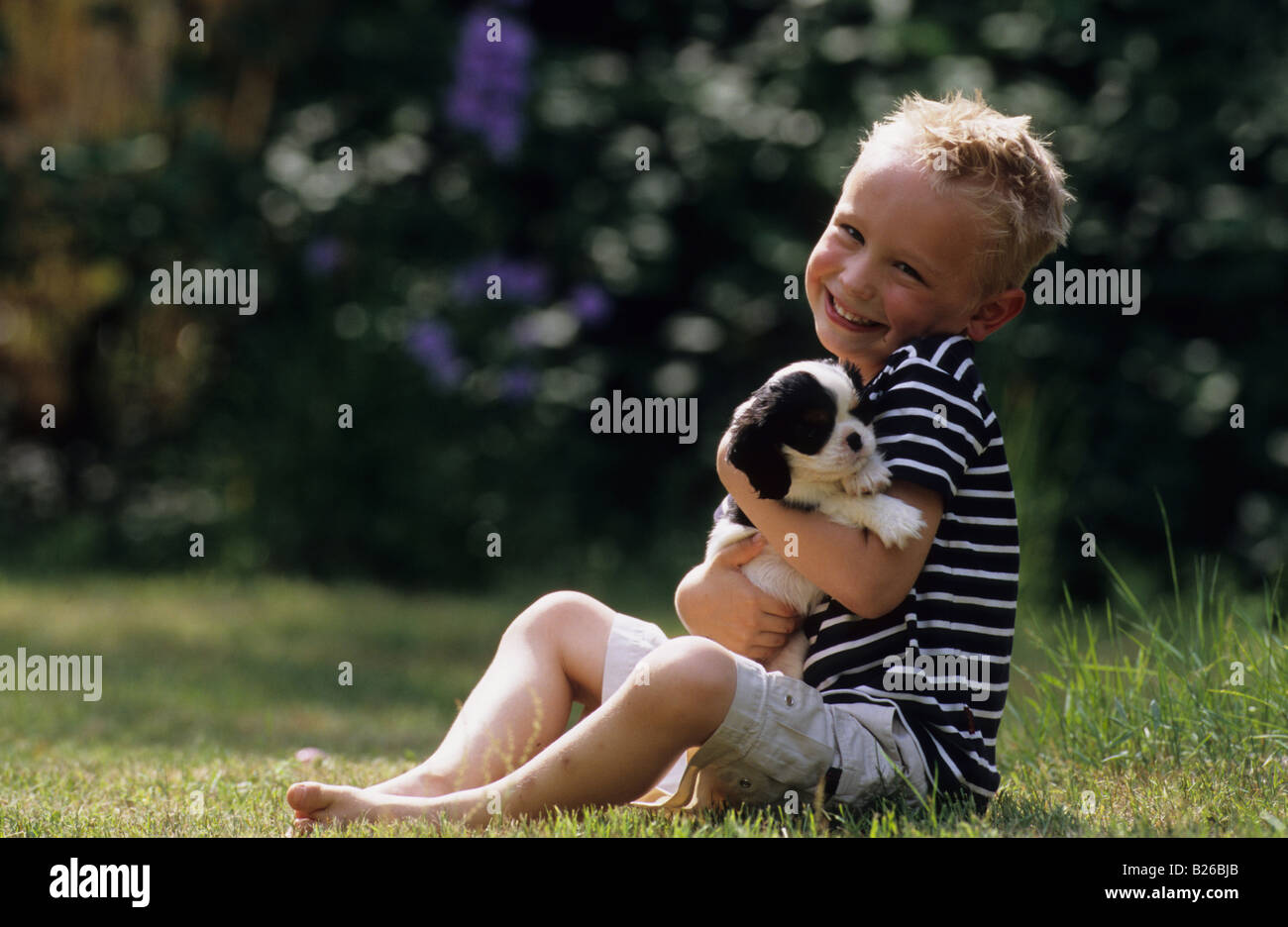 Boy playing king charles cavalier hi-res stock photography and images ...