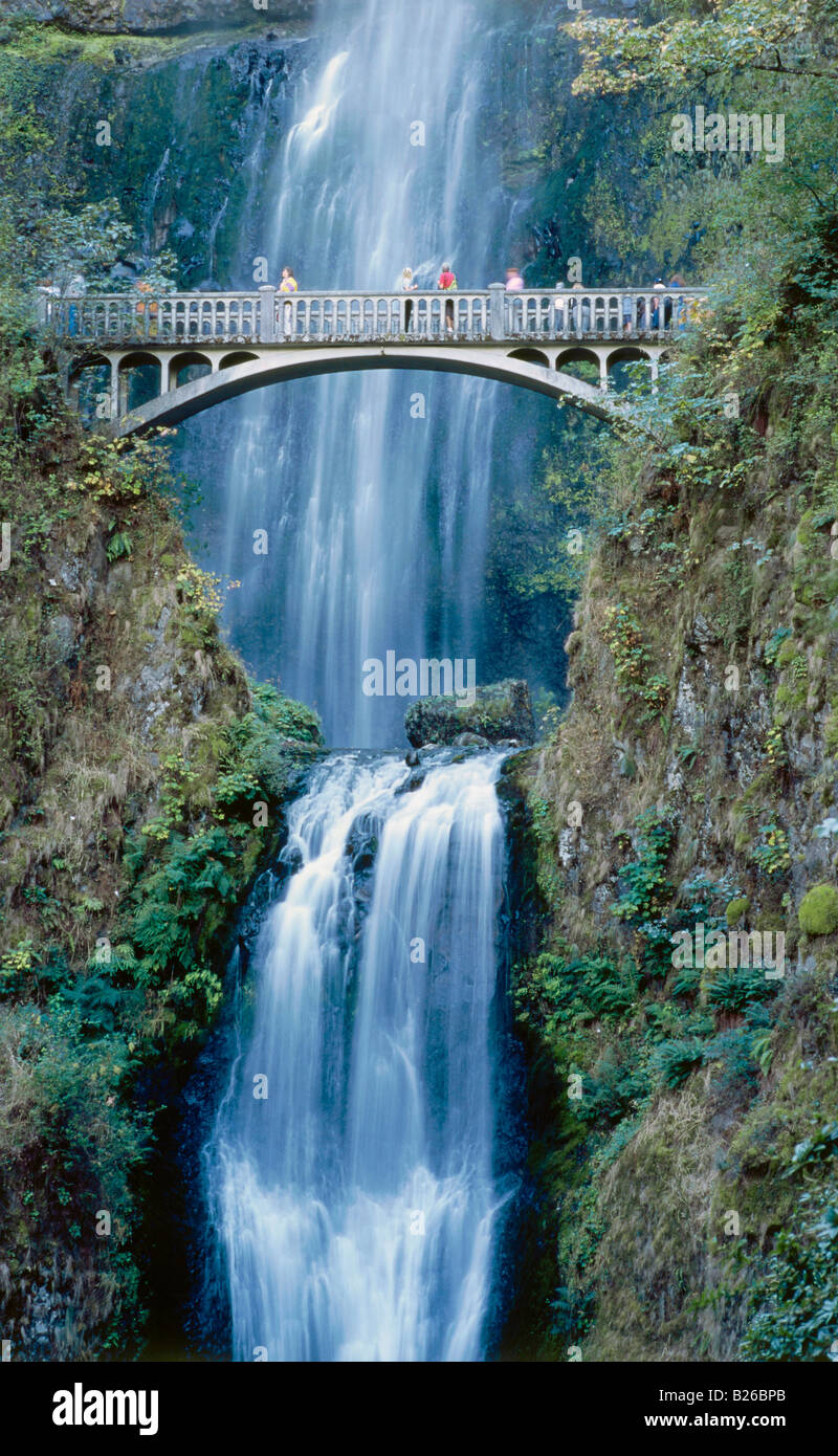 Waterfall Multnomah Falls, Columbia River Gorge, Oregon, USA Stock ...