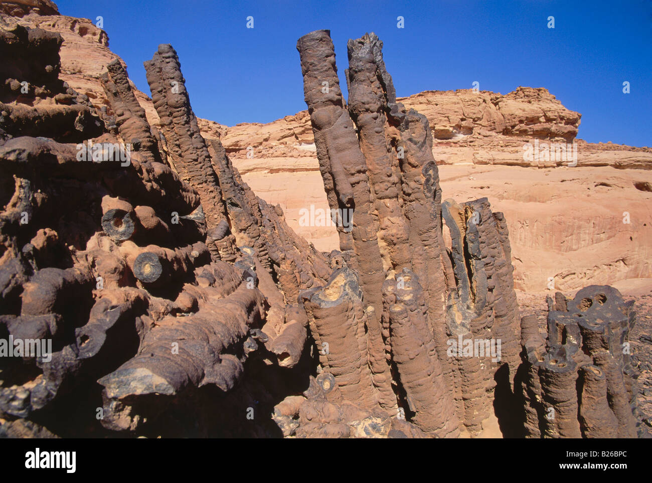 Pinnacle rock formations in the desert, Sinai, Egypt, Africa Stock ...