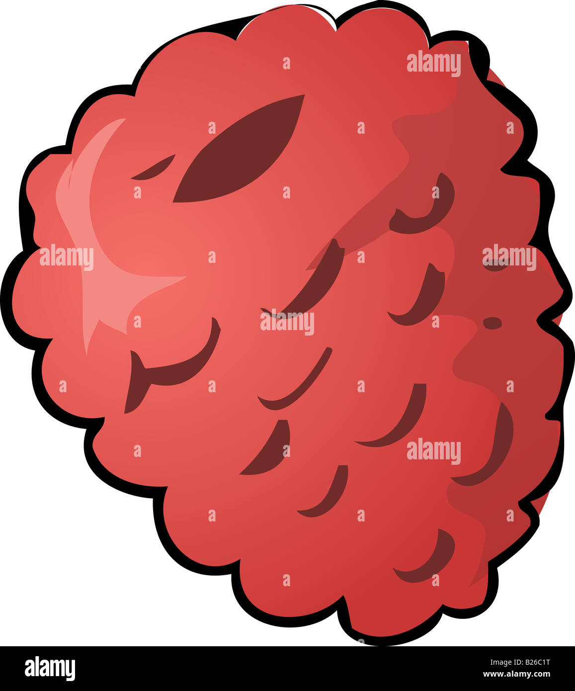 Raspberry fruit hand drawn colored lineart illustration Stock Photo - Alamy