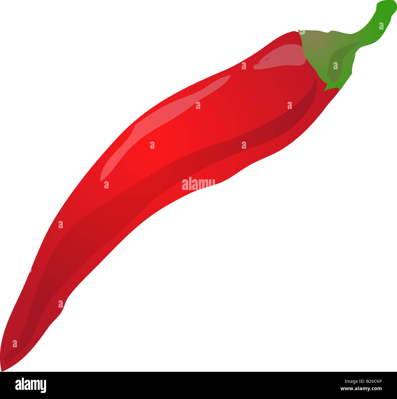 Sketch of a chilli Hand drawn lineart look illustration Stock Photo - Alamy