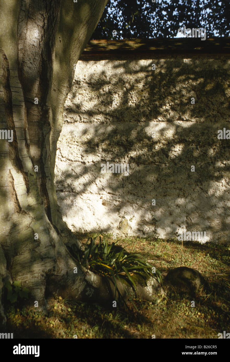 Clunch hi-res stock photography and images - Alamy