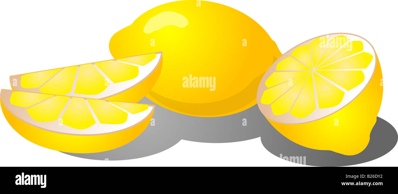 Illustration of a whole lemon lemon segments and sliced in half Stock ...