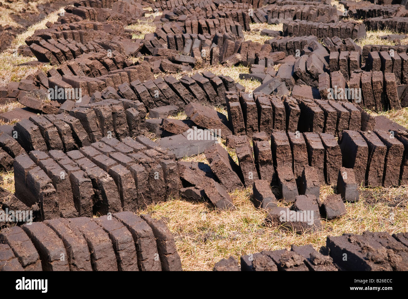 Rows of peat cuttings drying in the sun, Scotland Stock Photo - Alamy