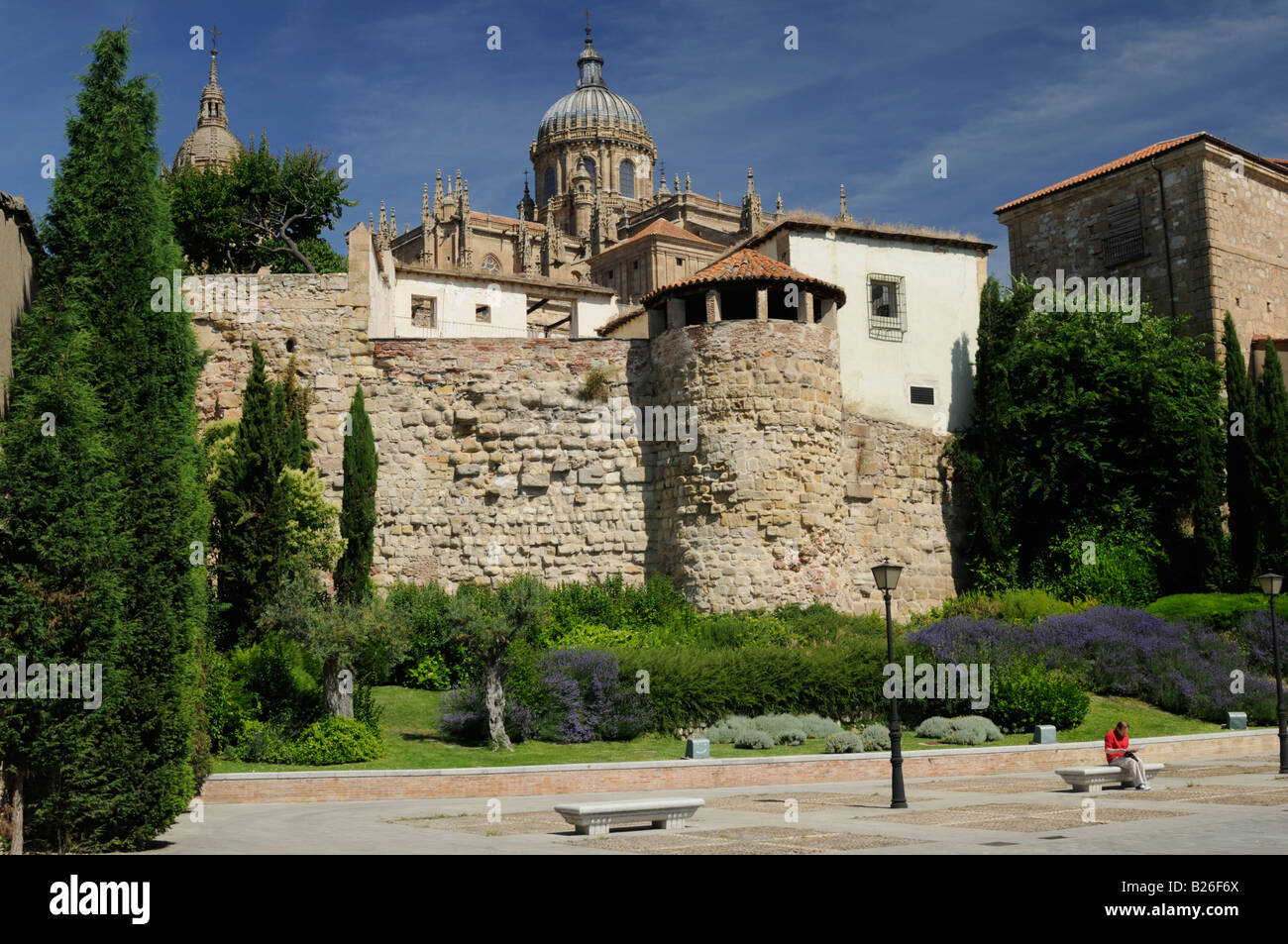 The New Cathedral, Salamanca, Castile and Leon, Spain Stock Photo - Alamy