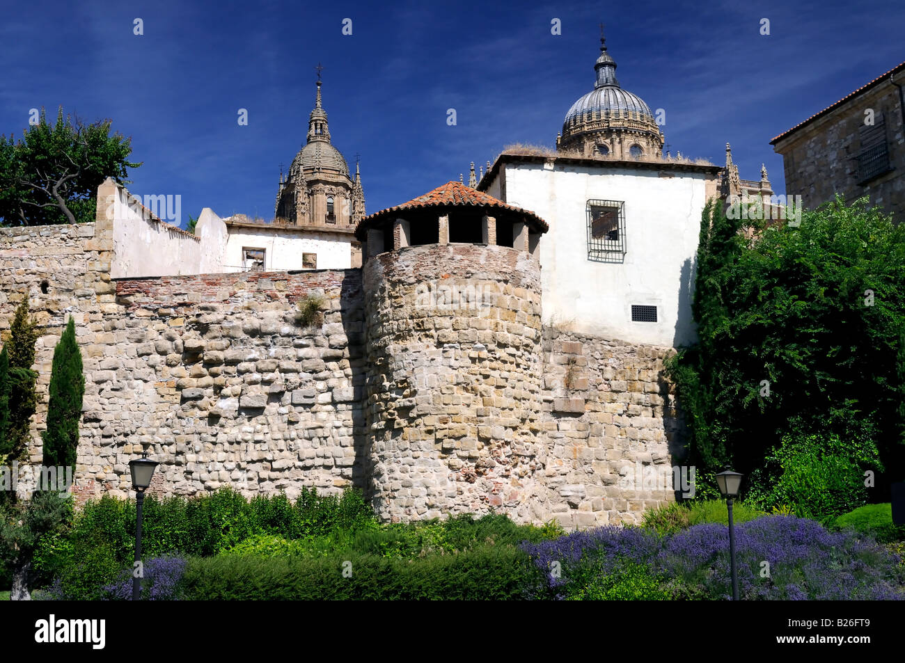 The New Cathedral, Salamanca, Castile and Leon, Spain Stock Photo - Alamy
