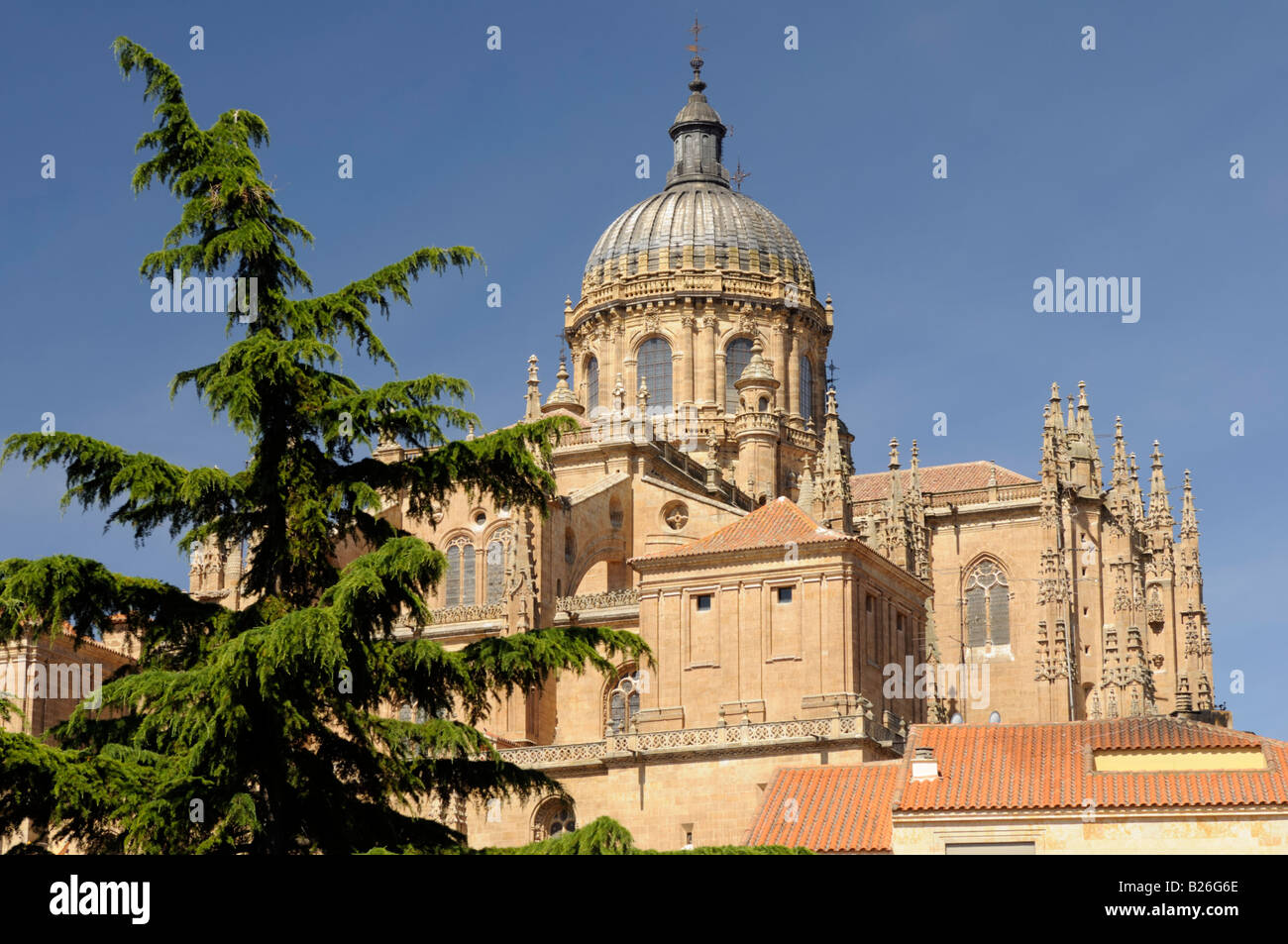 The New Cathedral, Salamanca, Castile and Leon, Spain Stock Photo - Alamy
