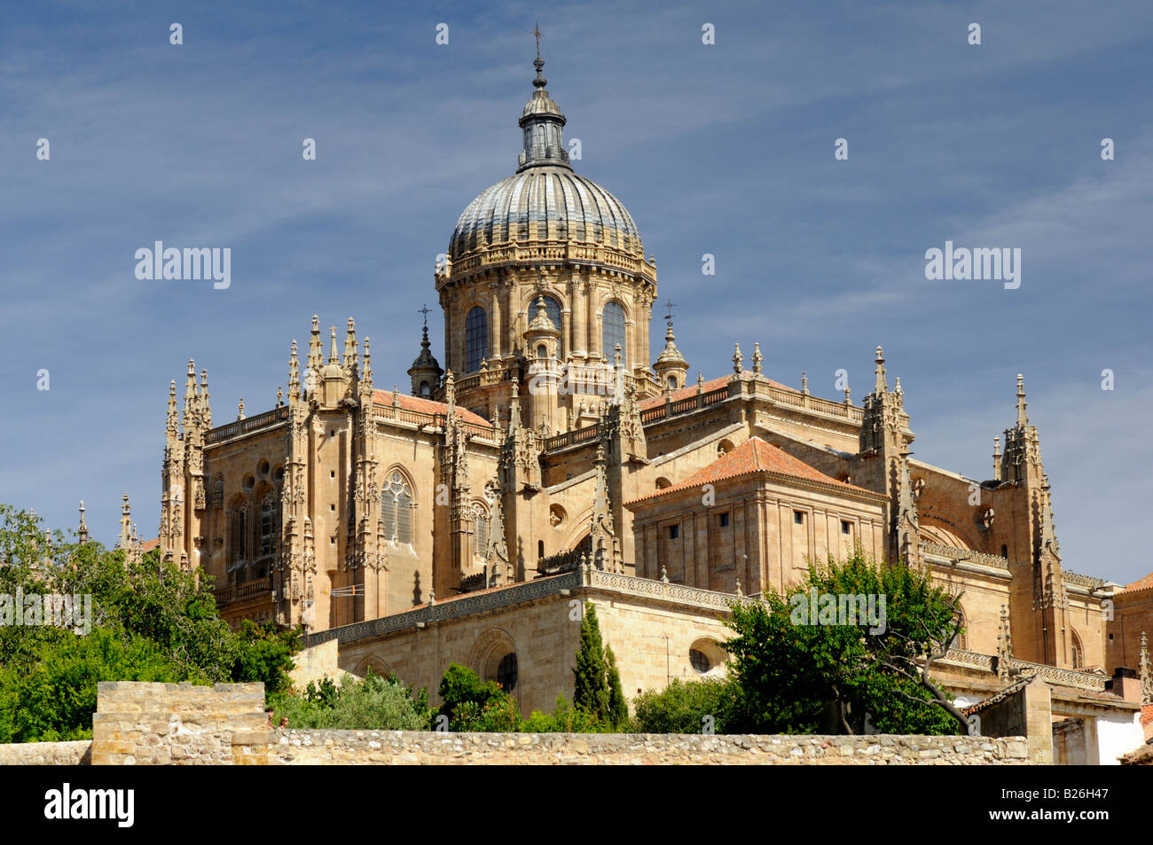 The New Cathedral, Salamanca, Castile and Leon, Spain Stock Photo - Alamy