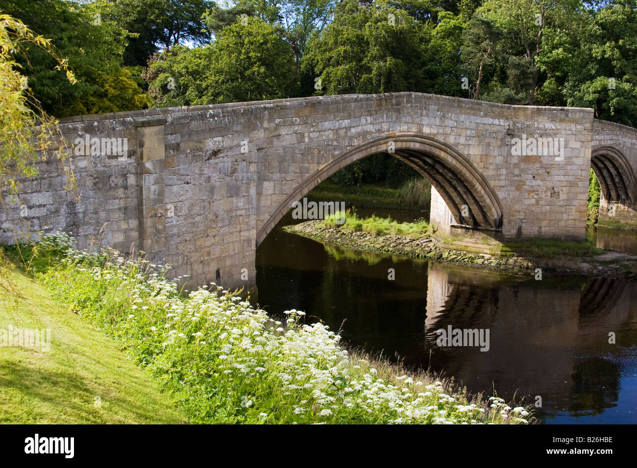 Arched bridge with daisy flowers on riverside Stock Photo - Alamy