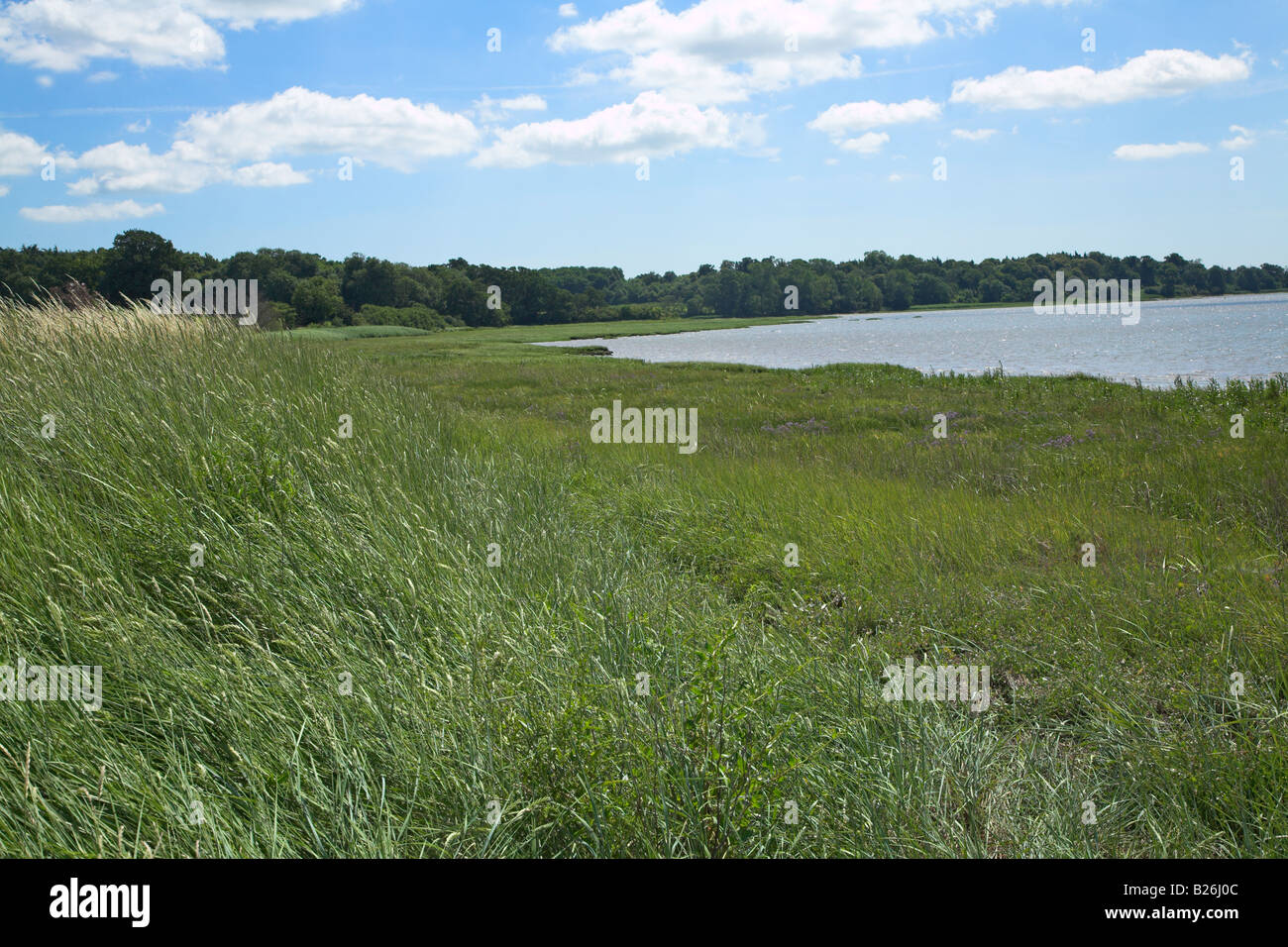 River Deben downstream from Methersgate, Suffolk, England Stock Photo ...