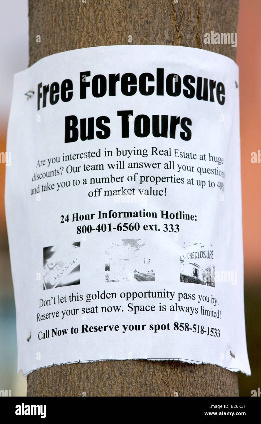 Stapled to tree hi-res stock photography and images - Alamy