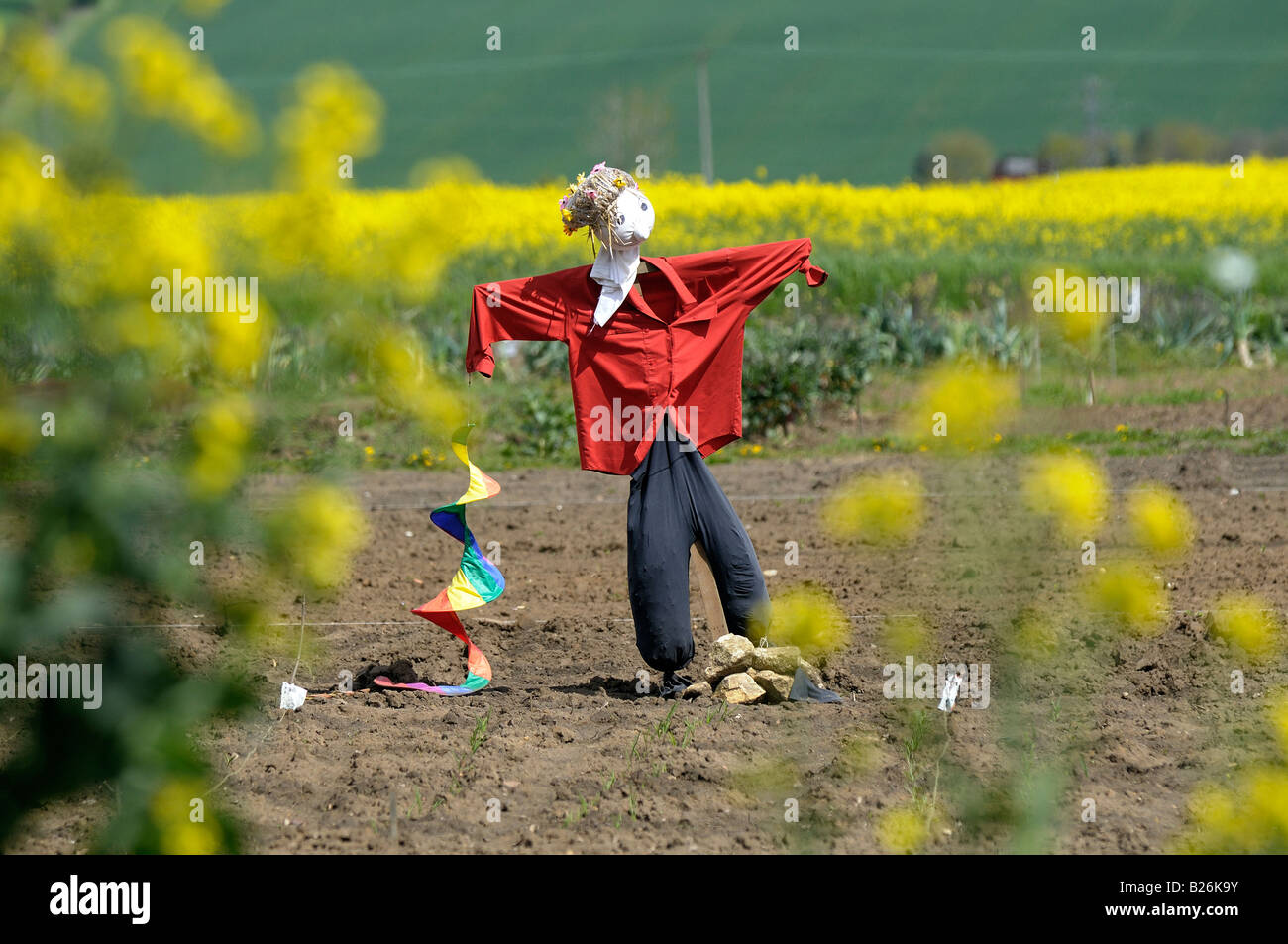 Scarecrow in farmers field Stock Photo - Alamy
