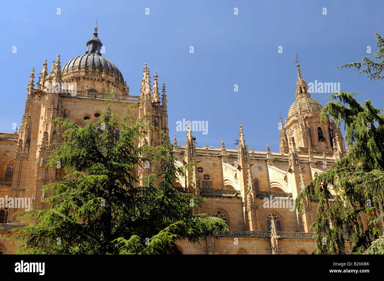 New castile hi-res stock photography and images - Alamy