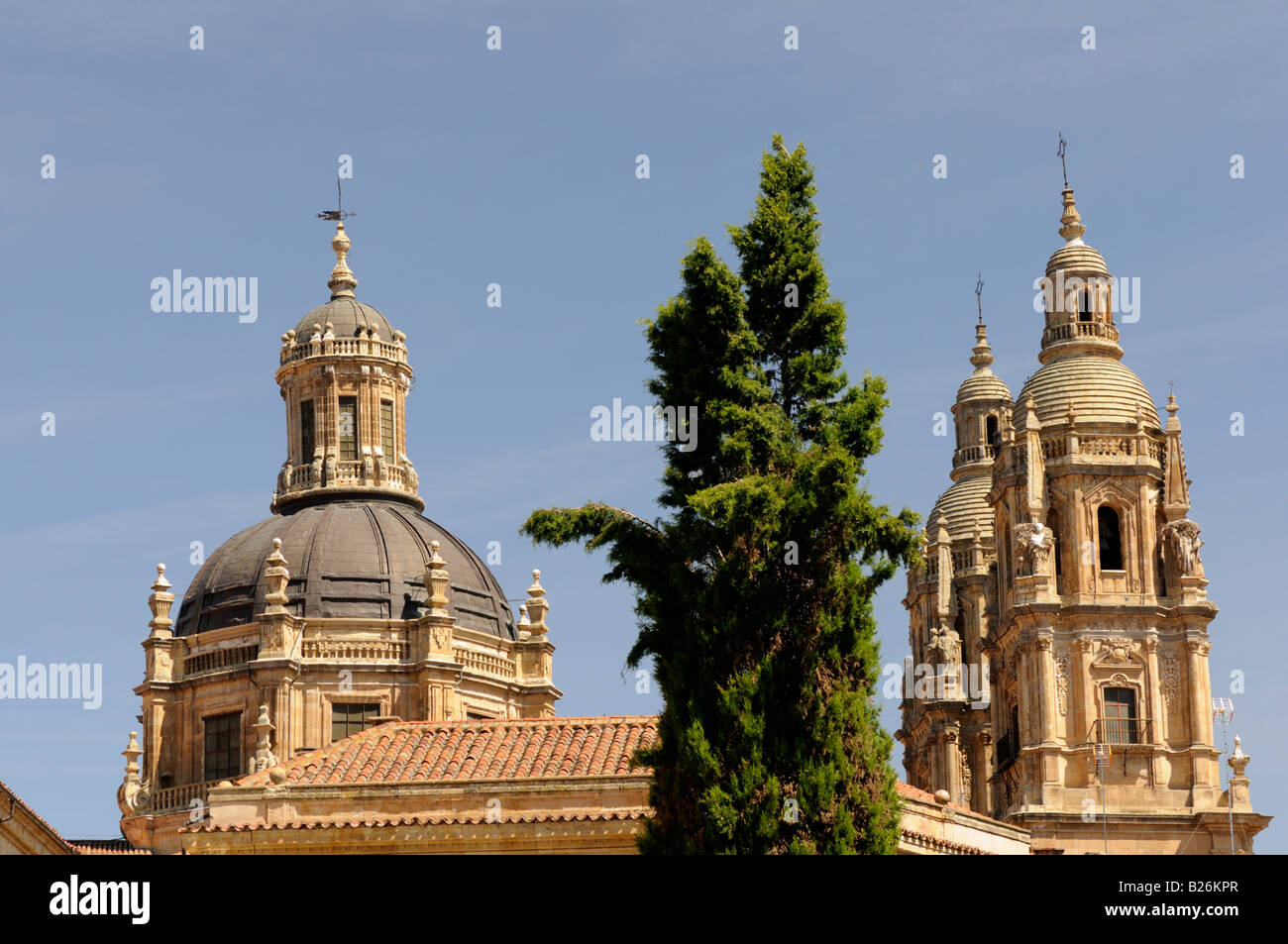 The New Cathedral, Salamanca, Castile and Leon, Spain Stock Photo - Alamy