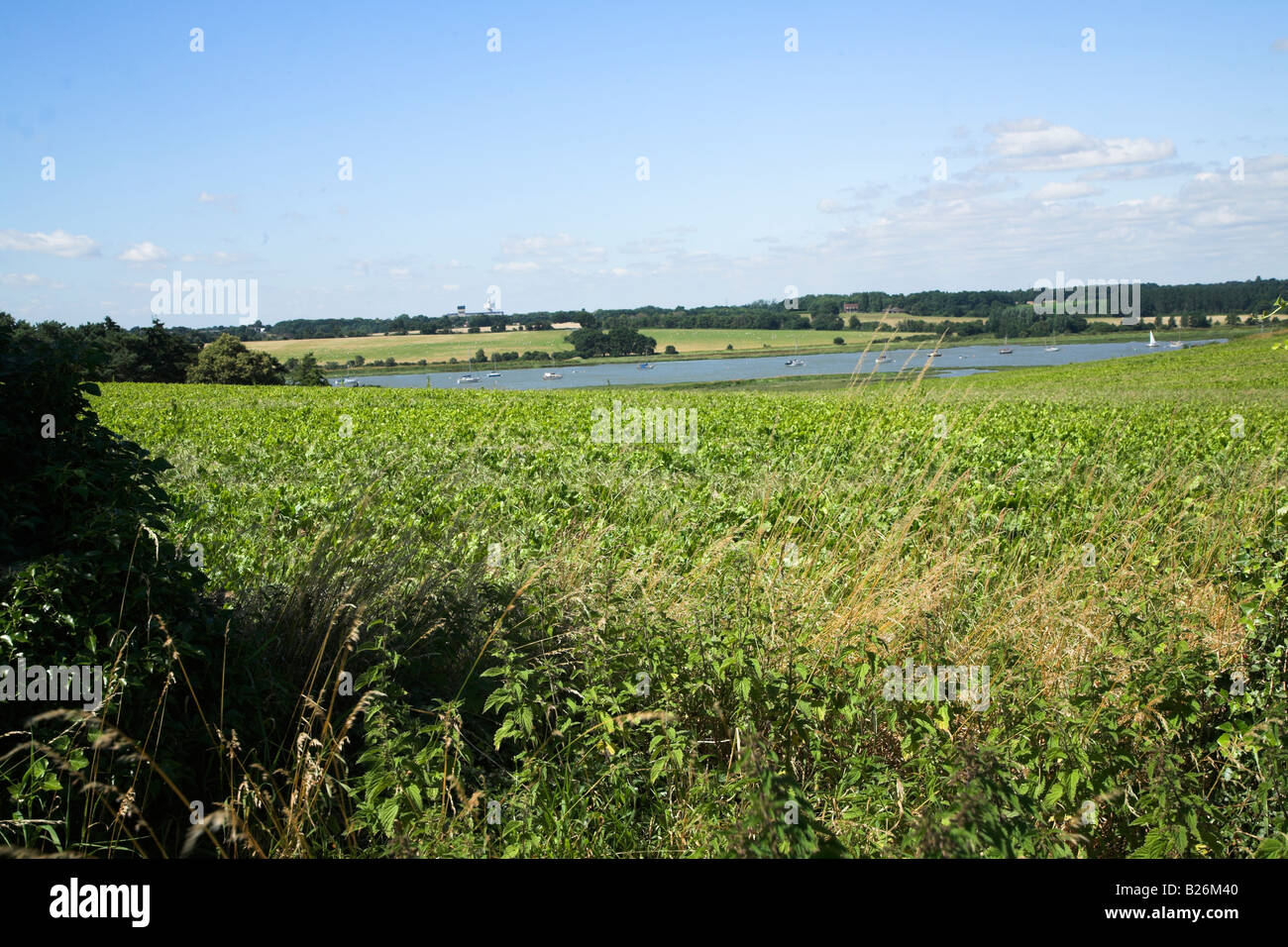 Suffolk summer river landscape hi-res stock photography and images - Alamy