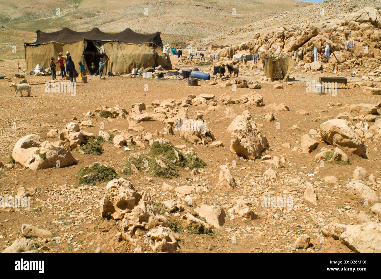 Bedouin family camp hi-res stock photography and images - Alamy