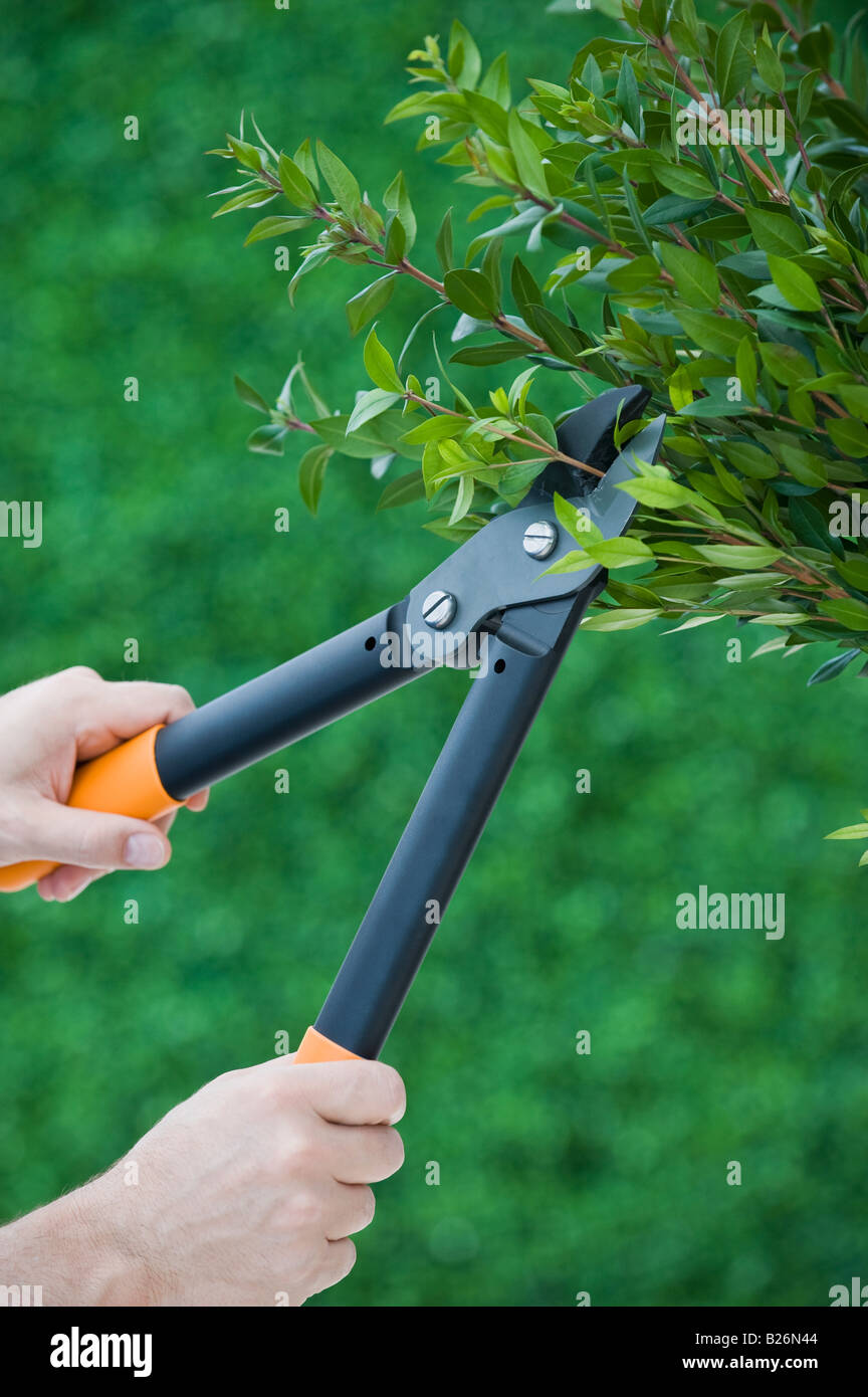 Bush man hi-res stock photography and images - Alamy