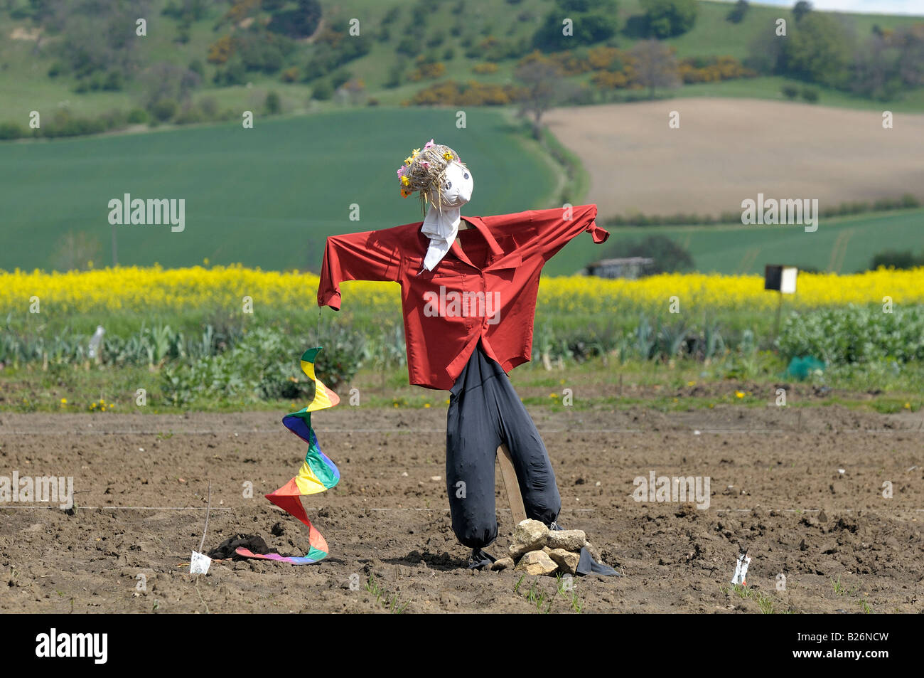 Scarecrow in farmers field Stock Photo - Alamy