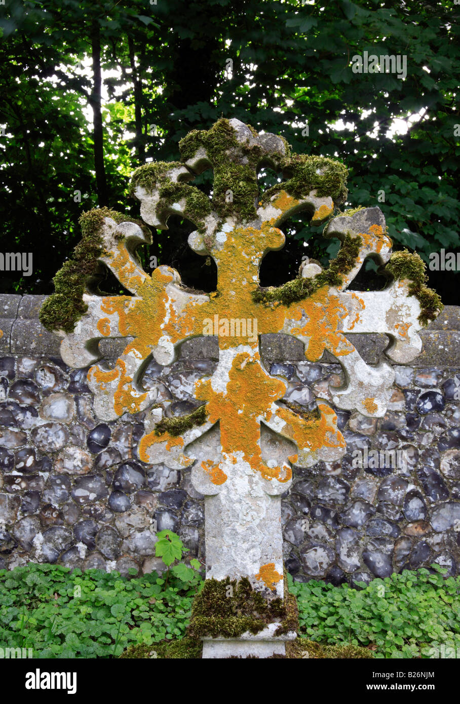 Lichen encrusted stone hi-res stock photography and images - Alamy