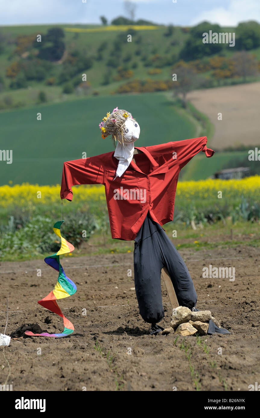 Scarecrow in farmers field Stock Photo - Alamy