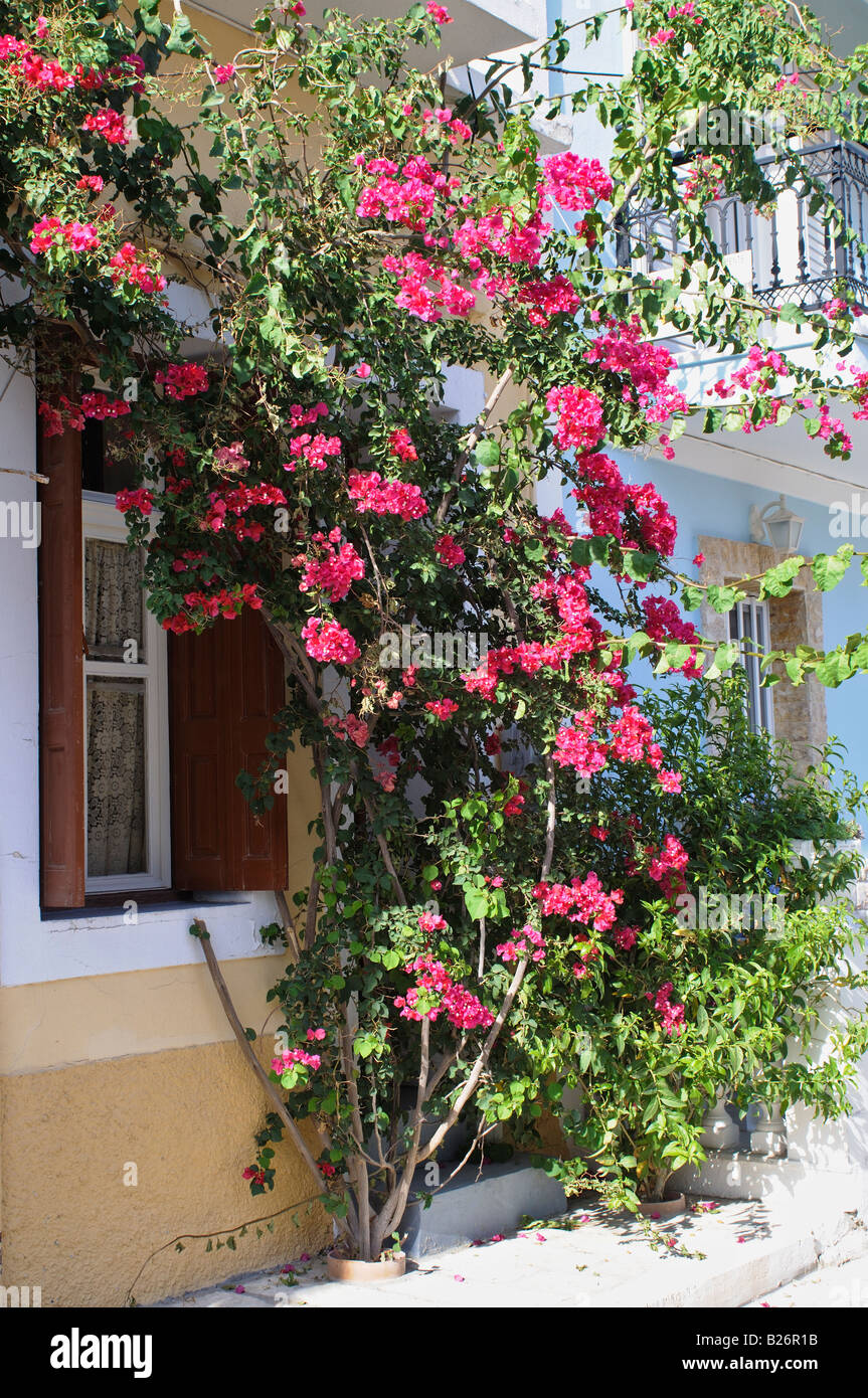 House in Pythagorio Samos Greece Stock Photo - Alamy