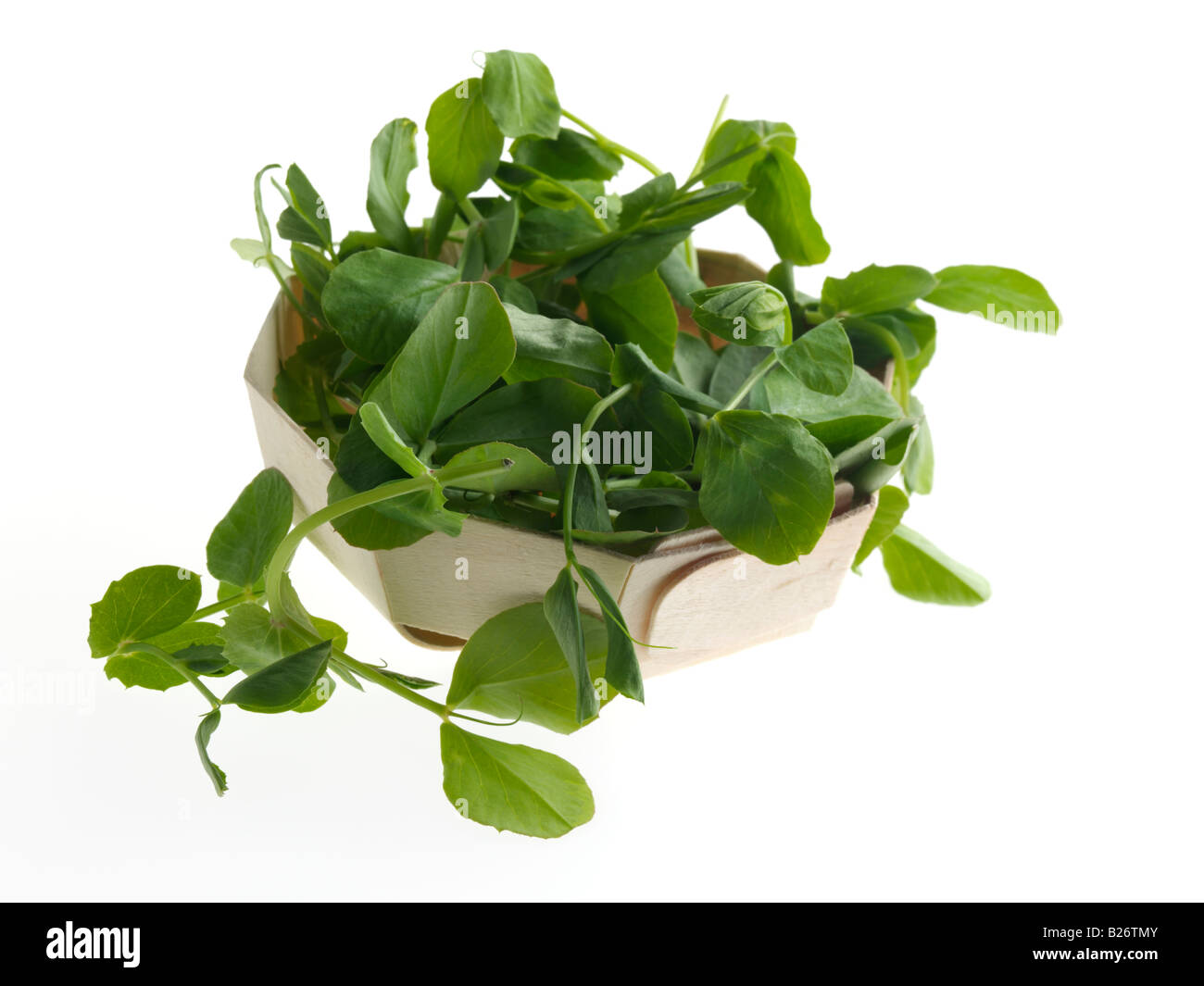 Pea shoots in a basket on a white background editorial food Stock Photo ...