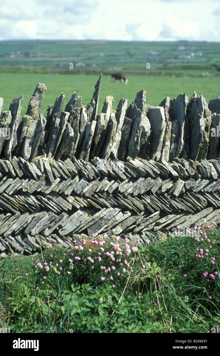 Dry stone wall in Cornwall England UK Stock Photo - Alamy