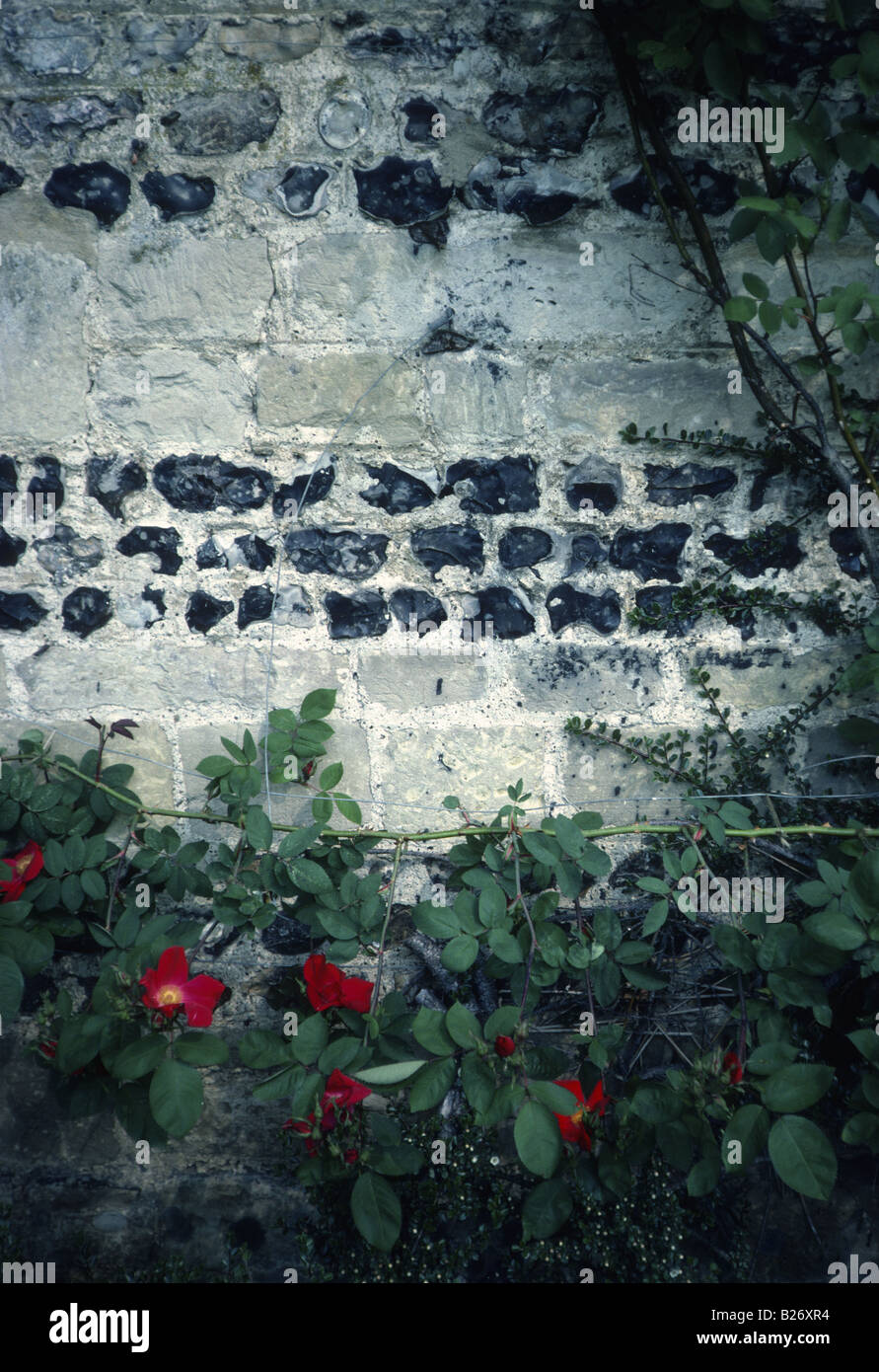 Clunch wall hi-res stock photography and images - Alamy