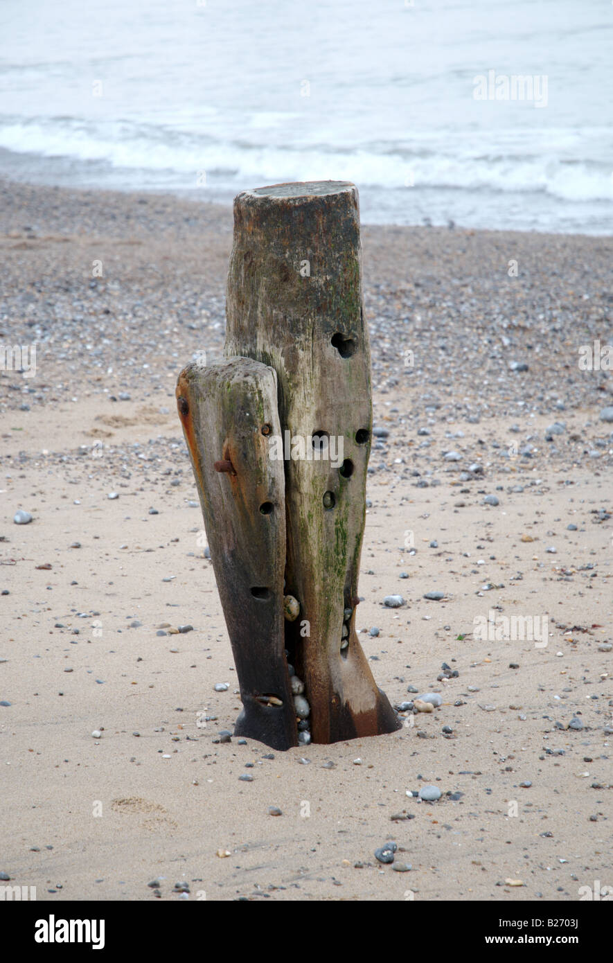 Wooden post on a sandy beach worn away by sea action Stock Photo - Alamy