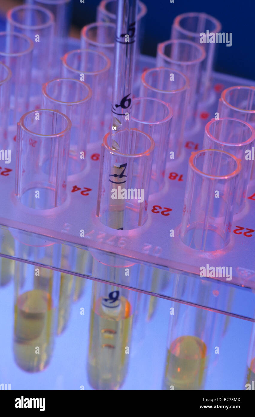 GLASS TEST TUBES WITH LIQUID INSIDE Stock Photo - Alamy