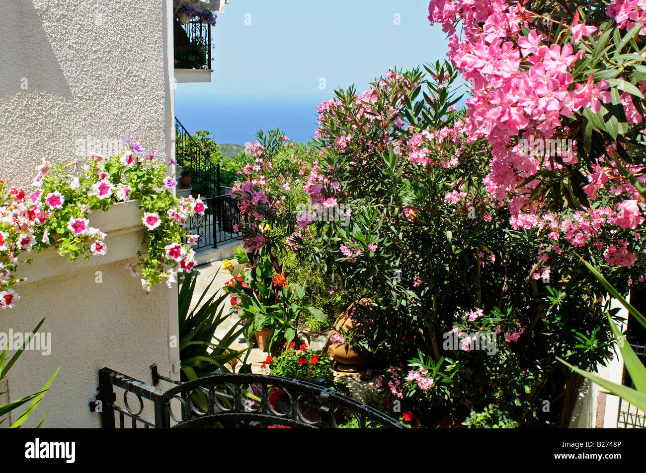 Manolates village Samos Greece Stock Photo - Alamy