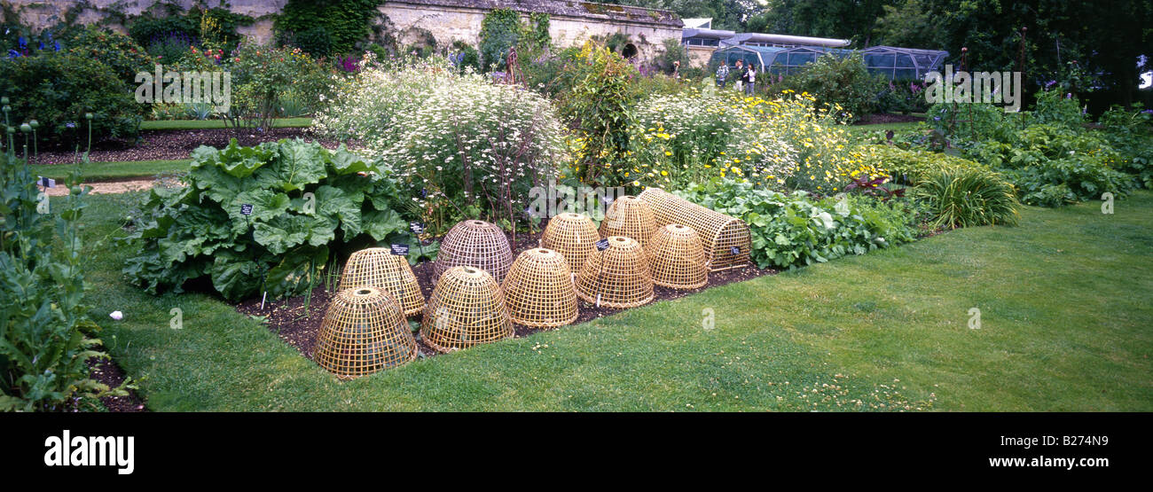 A vegetable garden in The University of Oxford Botanic Garden Stock ...