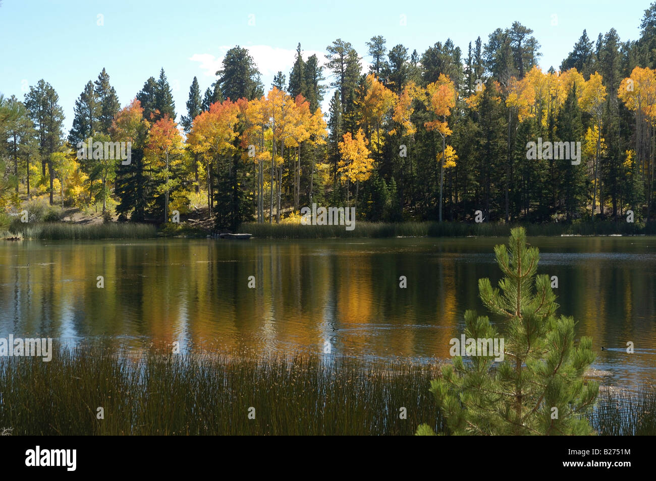 Posey lake road hi-res stock photography and images - Alamy