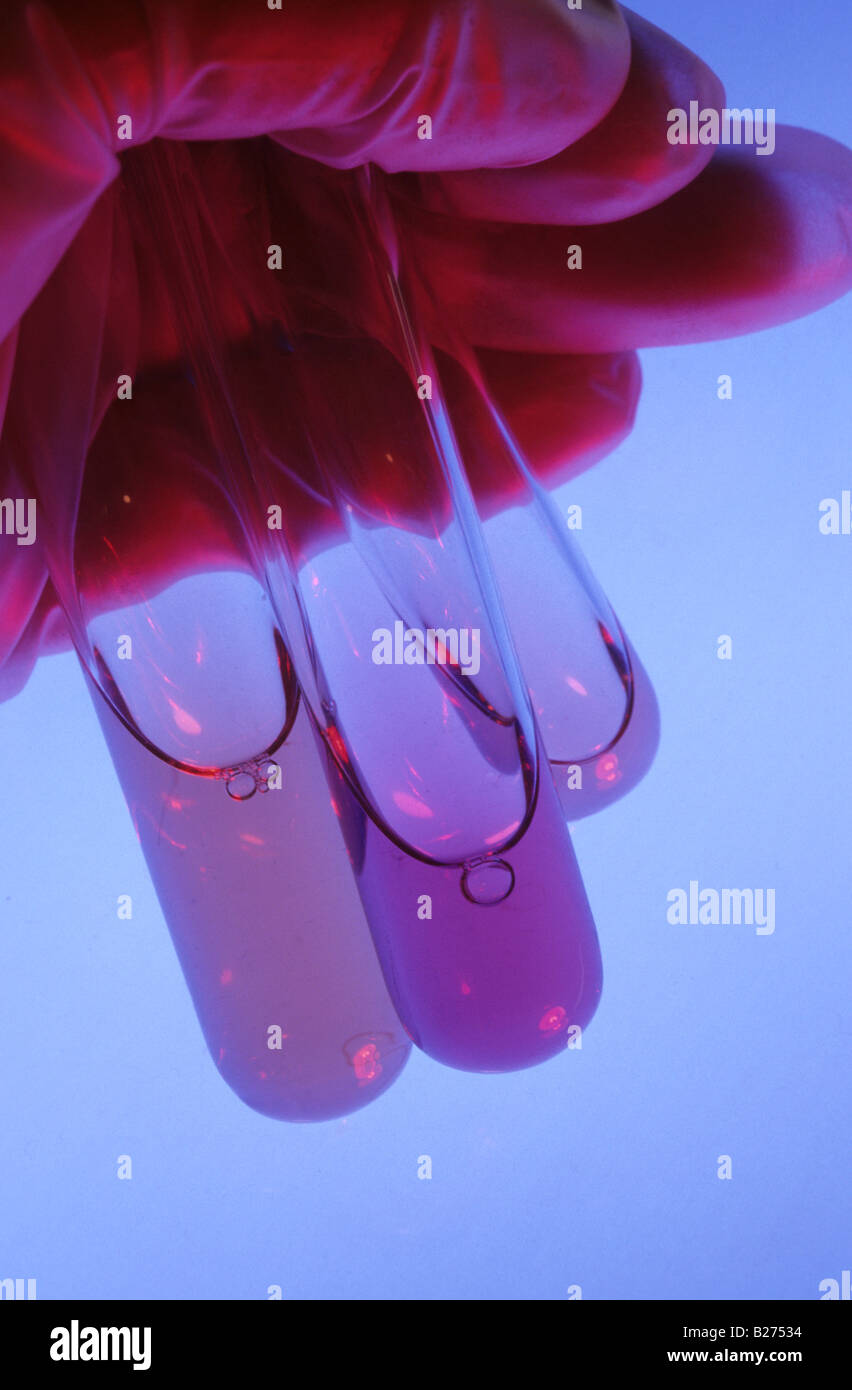 GLOVED HAND HOLDING TEST TUBES Stock Photo - Alamy