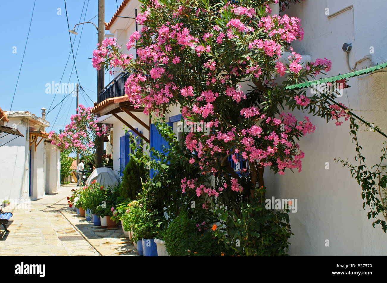 Manolates hi-res stock photography and images - Alamy