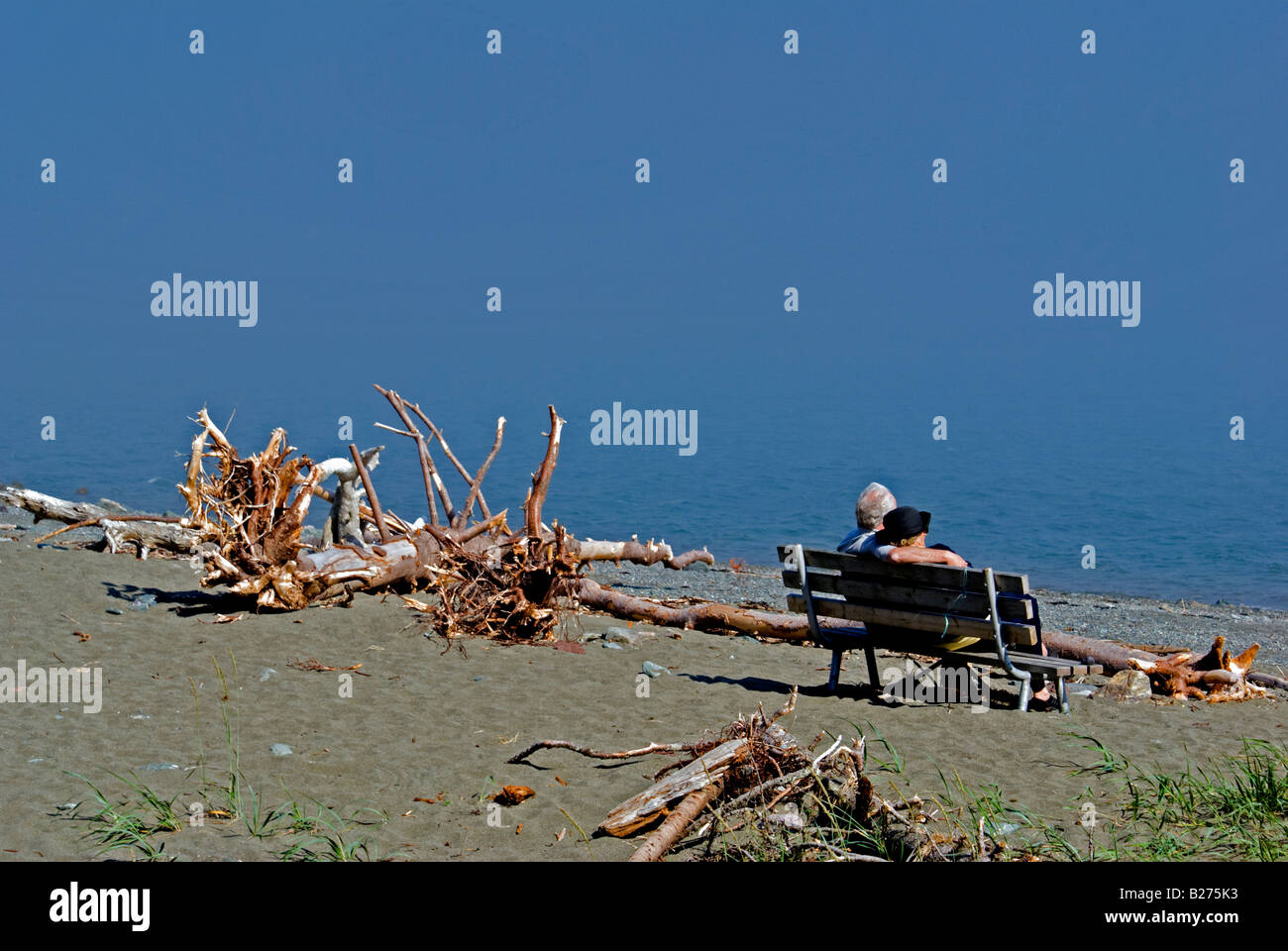 Fog rolls in at Fundy National Park New Brunswick Stock Photo - Alamy