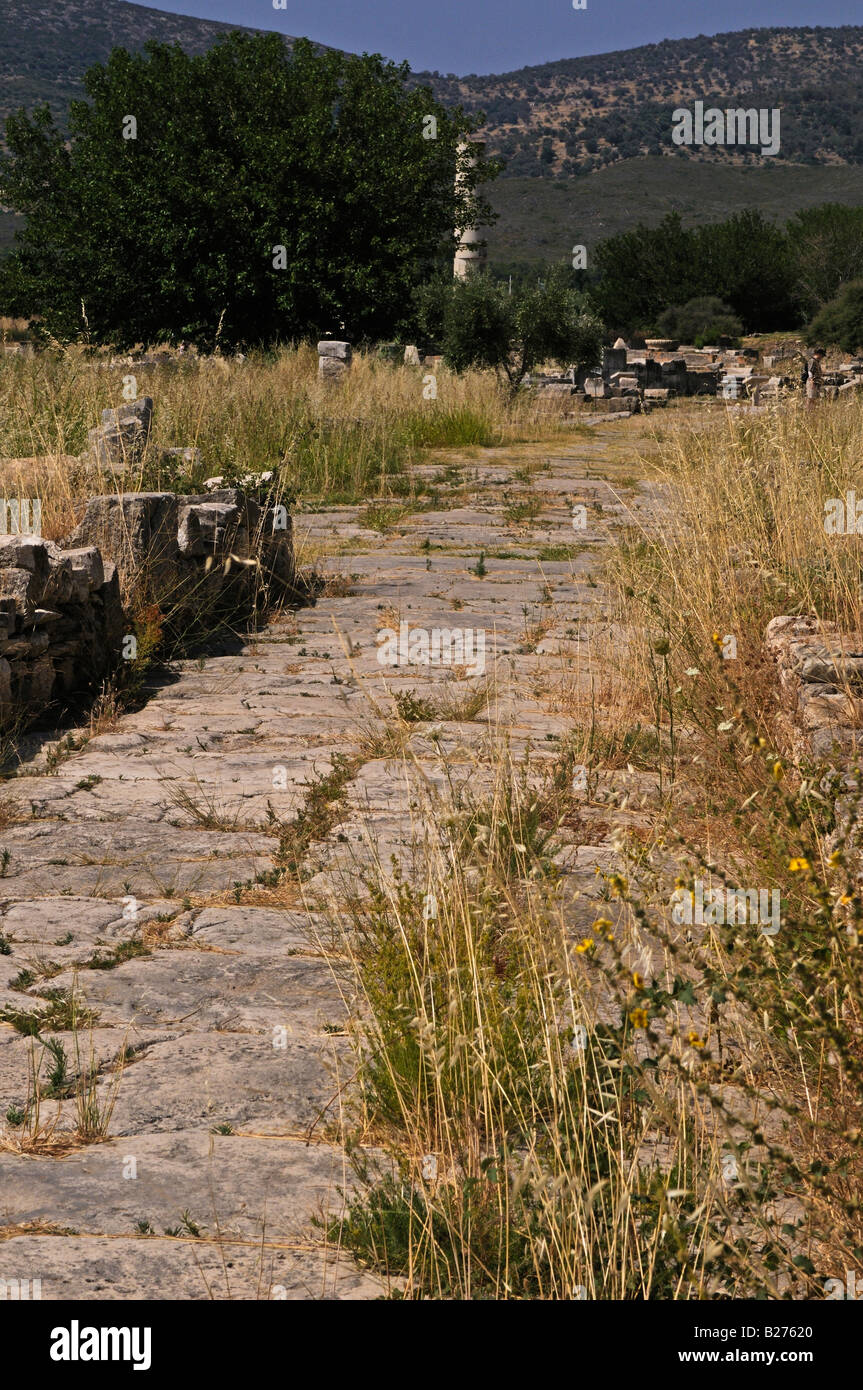 Sacred Way Heraion archeological site Hera Temple Samos Greece Stock ...