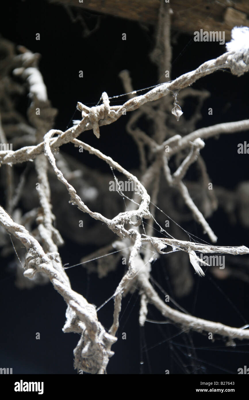 close up detail of old tangled barbed wire fence Stock Photo - Alamy