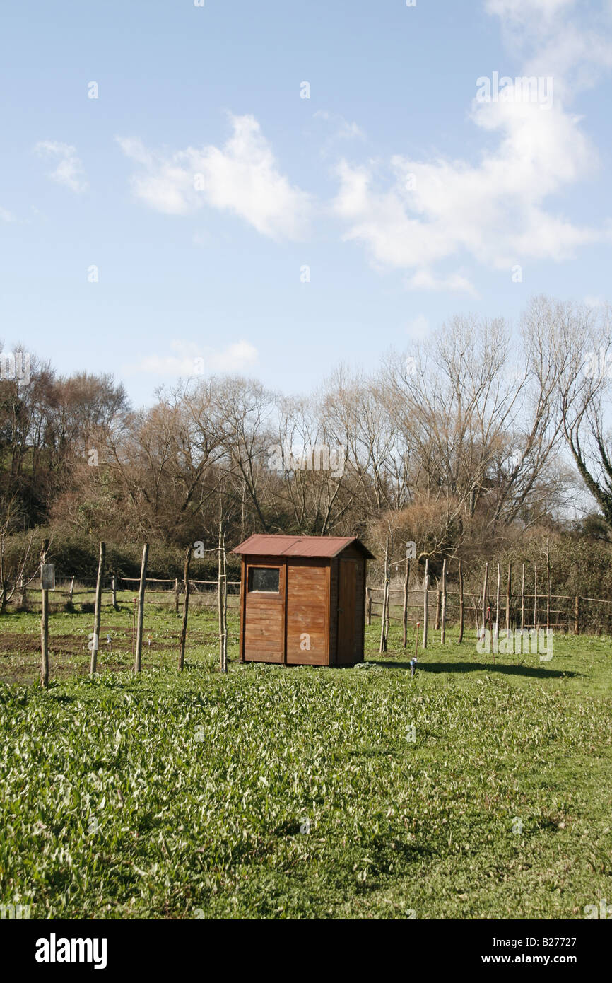 one garden shed on allotment in countryside Stock Photo - Alamy