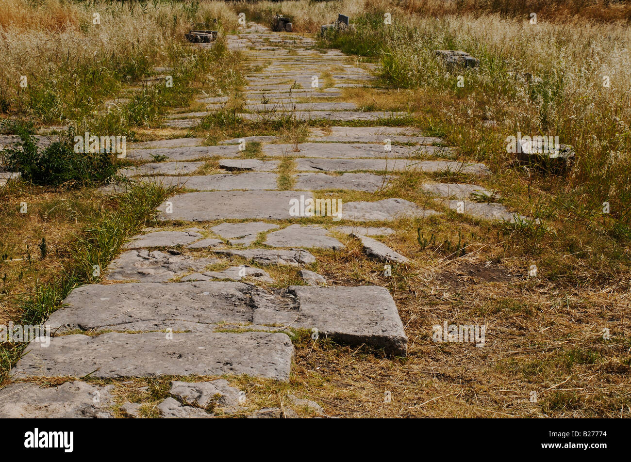 Sacred Way, Heraion archaeological site, Hera Temple, Samos, Greece ...