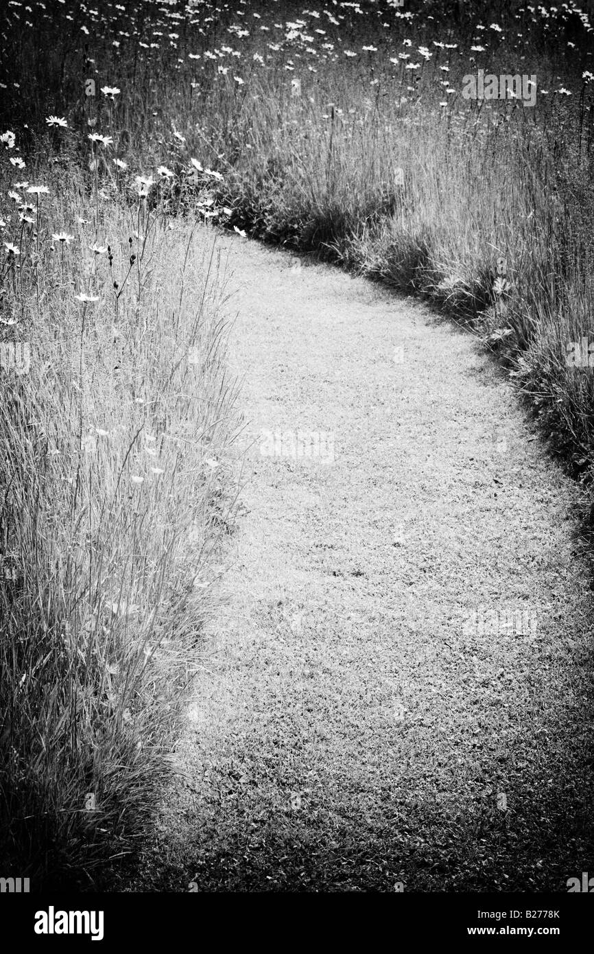 A winding path cut through a summer meaow Stock Photo - Alamy