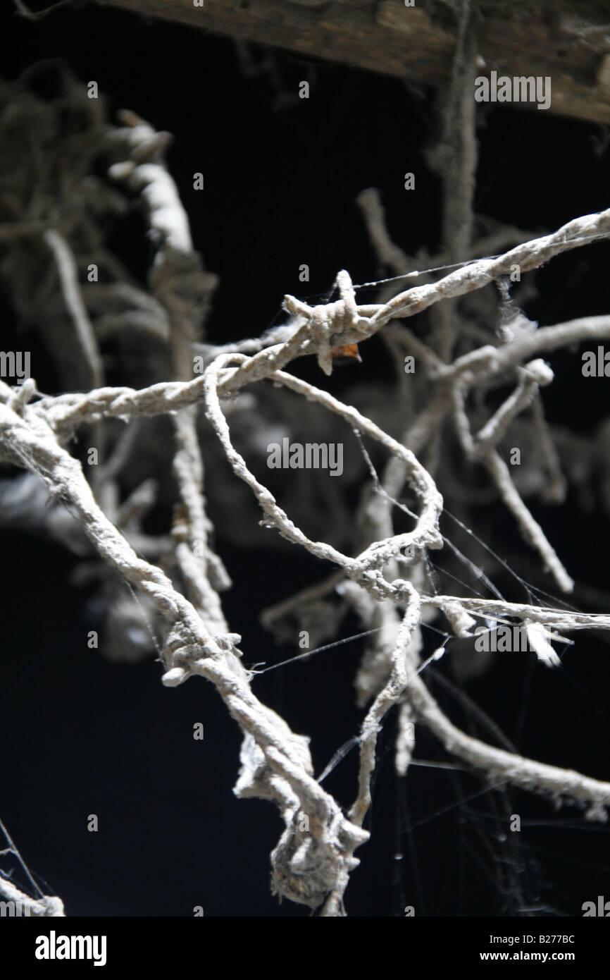 close up detail of old tangled barbed wire fence Stock Photo - Alamy
