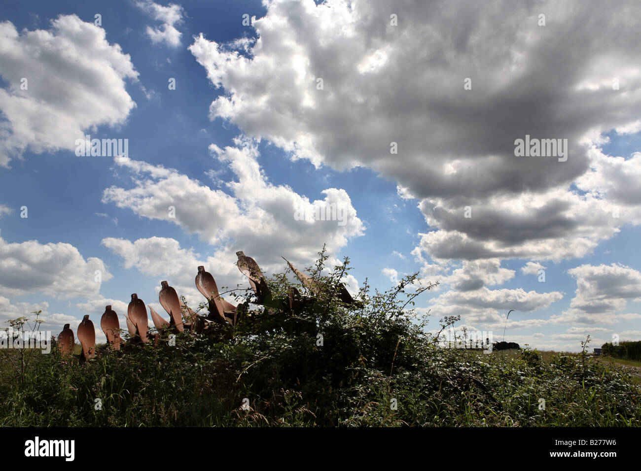An old plough rusting in overgrowth in a field in suffolk Local Caption ...