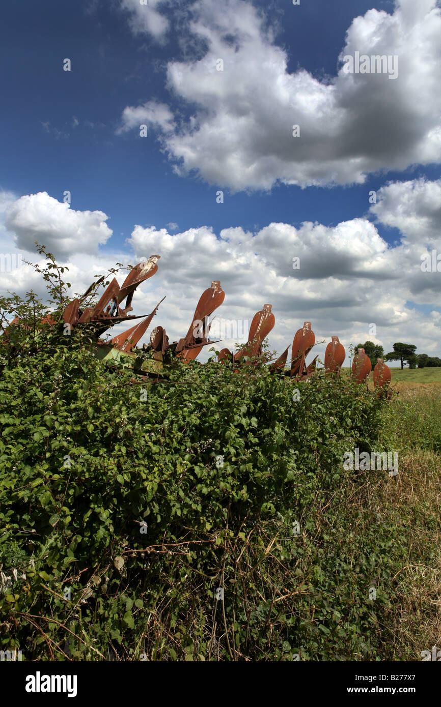 An old plough rusting in overgrowth in a field in suffolk Local Caption ...