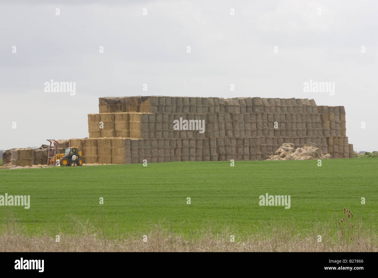 Giant Haystack in a field Bedfordshire England UK Stock Photo - Alamy